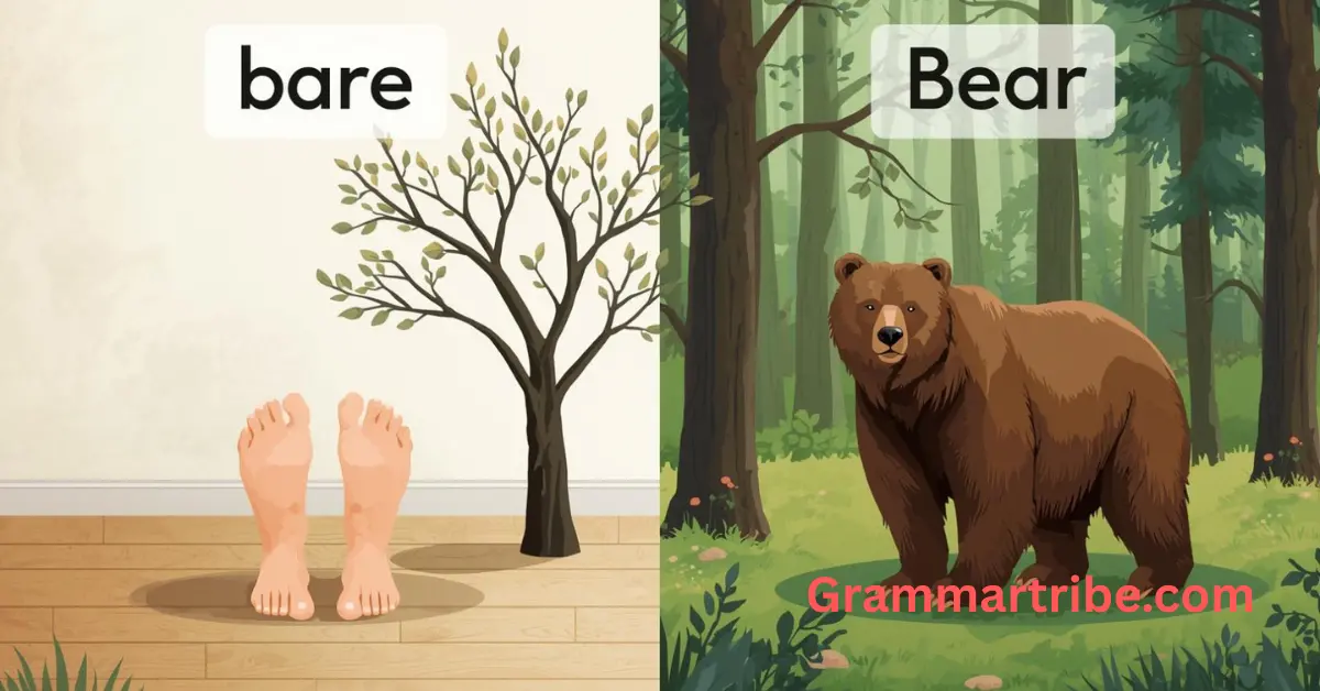 Bare or Bear: Understanding the Difference and Correct Usage