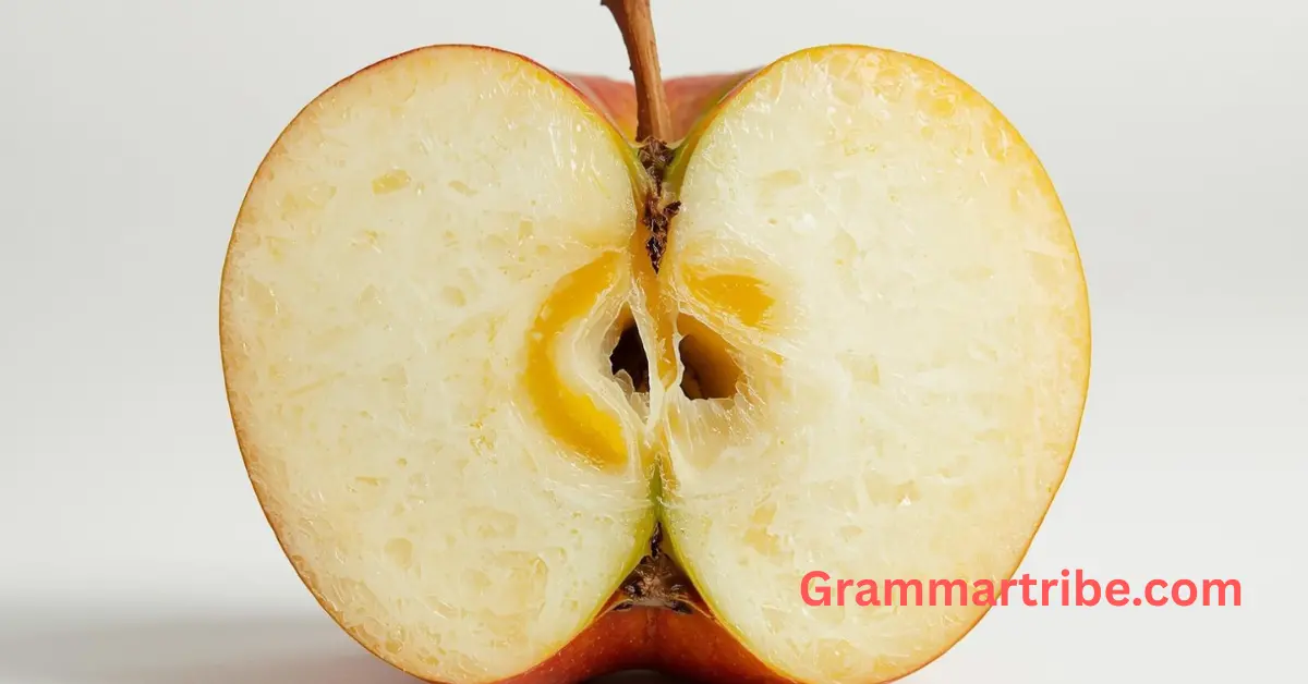 Halves or Halfs – Which Spelling Is Correct?